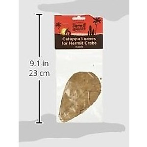 Flukers Catappa Leaves for Hermit Crabs (5 Leaves Per Pack)