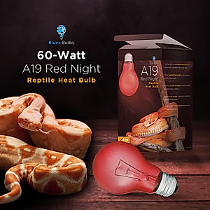 Bluex Bulbs 4 Pack A19 60W Red Night Reptile Heat Bulb - Night Basking Light E26 - Terrarium Heat Source for Lizards Turtles Snakes & Bearded Dragons Promotes Appetite Metabolism & Natural Behavior