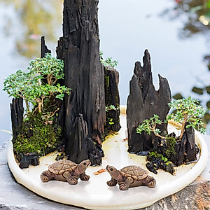 4 Pcs Mini Turtles Miniature Figurines Simulation Small Tortoise Ornaments Realistic Sea Turtles Resin Cute Beach Sea Turtles for Bonsai Craft Fairy Garden Succulent Planter Decorations