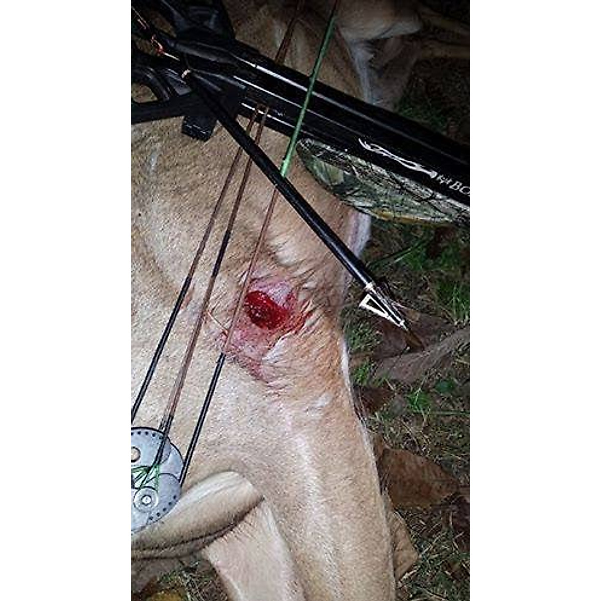 Fire-N-The-Hole Chisel Tip Ring Broadhead Compound Bow 100 Grain 3 Pack