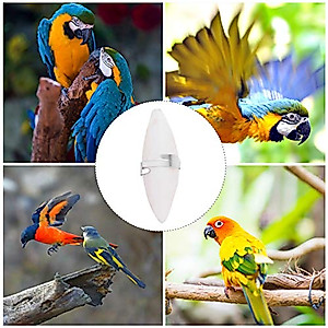 TEHAUX 12 pcs Bird Cuttlebone for Parakeets, Natural Cuddle Bone with Metal Holder, Chewing Cuttlefish Bone for Sharp Beaks, Natural Birds Calcium Suitable for Parrot Cockatiels Budgie Conures