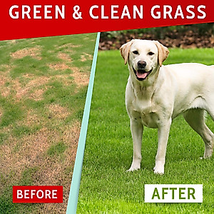 PAWFECTCHEW Dog Pee Grass Helper - Grass Treatment for Dog Urine - Dog Urine Neutralizer for Grass Burn Spots - Dog Pee Lawn Repair Treats with Probiotics - Made in USA - 120 Chews