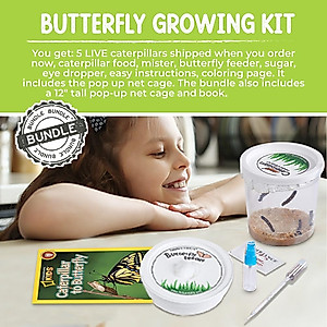 Live Butterfly Growing Complete Kit - Includes 5 Live Caterpillars - All-in-One Set with Net Cage, Food, and Rearing Supplies - Book Bundle
