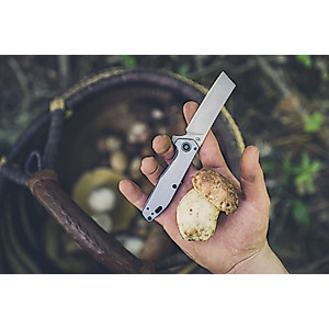 Gerber Gear Fastball Cleaver - Folding Knife with Lock Release for EDC Gear - Coyote Brown