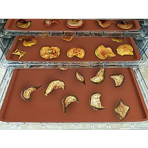TWOWYHI 4 PCS 14x14 inch Silicone Dehydrator Mats with Edge Square Silicone Sheets Non-stick Silicone Fruit Trays Reusable Fruit Leather Trays for Dehydrator High Temperature Resistance Roll Up Trays for Fruits Meat Vegetables Herbs