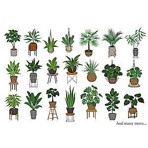 Indoor Plant Food | All-purpose House Plant Fertilizer | Liquid Common Houseplant Fertilizers for Potted Planting Soil | by Aquatic Arts