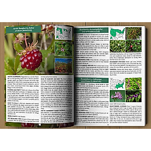 The Forager’s Guide to Wild Foods