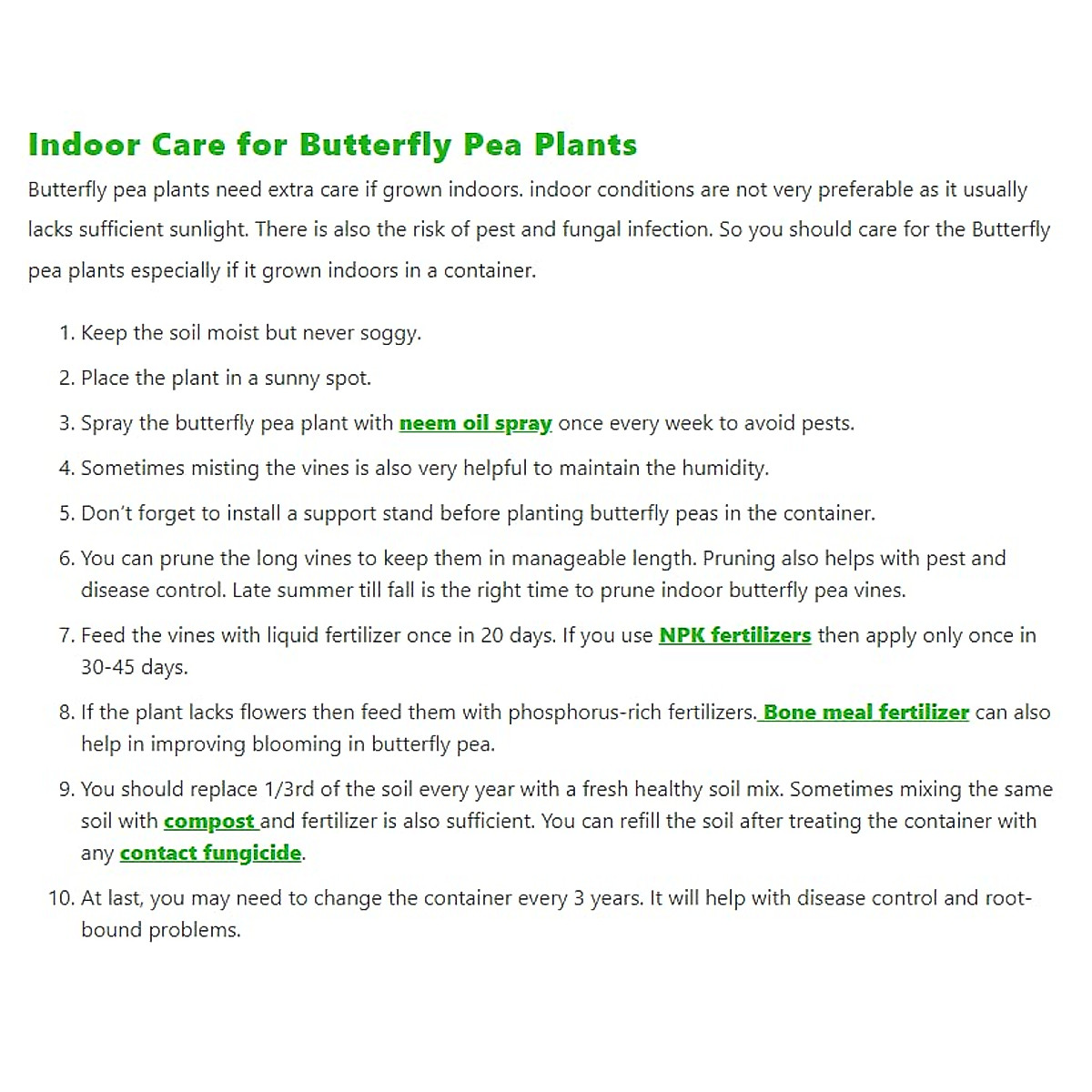 100 Butterfly Pea Flower Seeds - HOA Dau Biec - Blue Butterfly Pea Vine Seeds (Clitoria Ternatea) Asian Pigeonwings -Tropical Vine Plant Seeds- Edible Flower Seeds