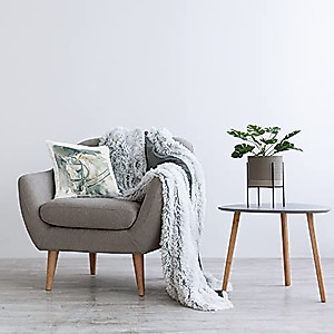 Stupell Industries Contemporary Horse Portrait Solemn Equestrian Pose Design by Carol Robinson Pillow, 18 x 18, Green