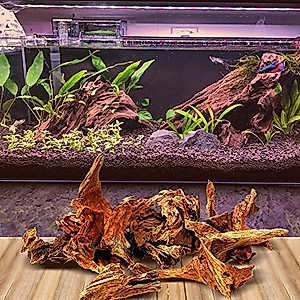 Dr. Moss Aquarium Small Malaysian Driftwood Luxurious Set for Fish Tank Decor, Real Wood Bogwood 5"-7" (2 Pieces)