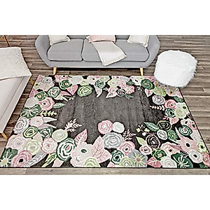 Rugs America Onyx & Pink Blooms Transitional Rug Royal Blossom Pink Onyx VA35C 2'0"X4'0" Area Rug
