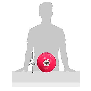 Petmate 23565 5-Cup Studio Scoop Dog Dish, Large, Hibiscus