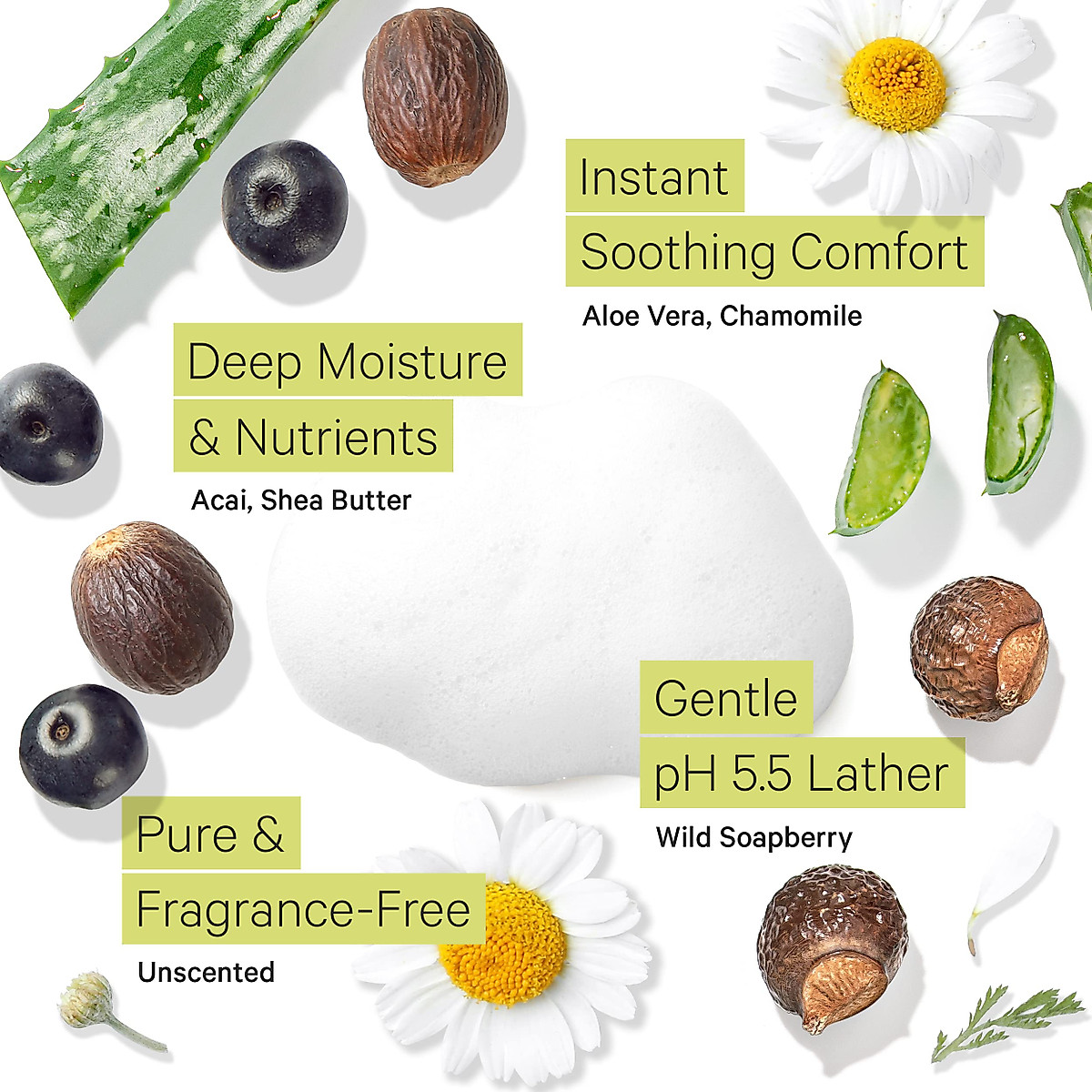 Tree to Tub Sensitive Skin Face Wash for Dry Skin - Fragrance Free Gentle Face Cleanser for Women & Men, Unscented Hydrating Foaming Facial Cleanser, Daily Face Soap w/All Natural Organic Aloe Vera