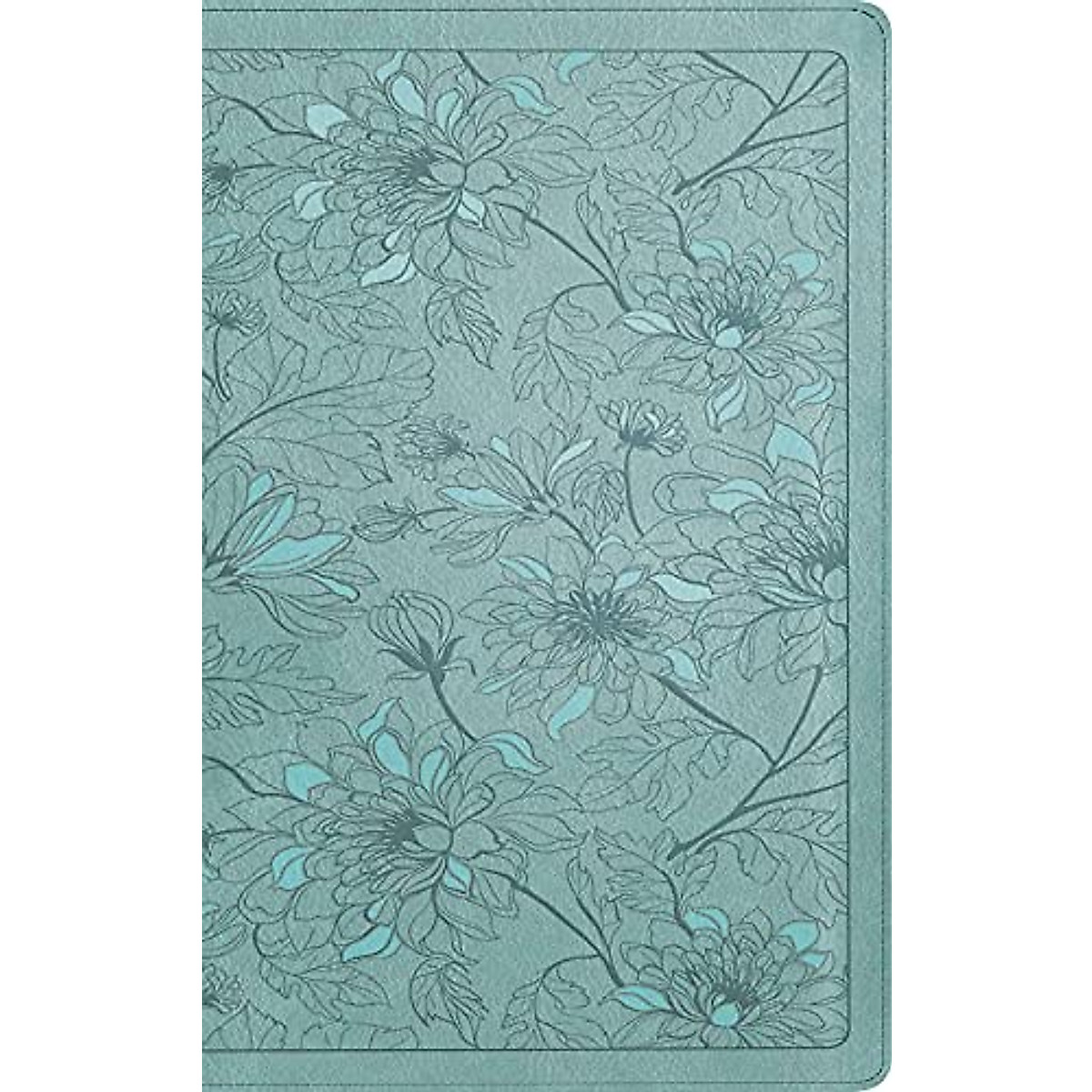 KJV Personal Size Giant Print Bible, Filament Enabled (LeatherLike, Floral Leaf Teal, Indexed, Red Letter)