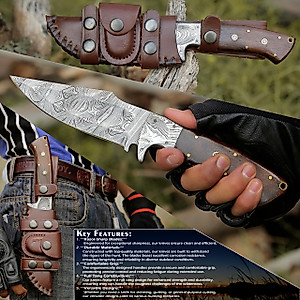 Damascus Steel Hunting Knife Fixed blade knife Damascus Bolster Walnut Wood Handle Mosaic Pin, Bush craft, Outdoor Camping, with Cowhide Leather Sheath – BW-4144