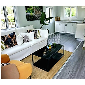 Generic Mobile House Portable House Foldable Detachable Prefabricated Luxury Villa Design Easy Setup Move,Mobile Expandable House Bedroom Bathroom Living & Kitchen (30ft X10ft X10ft), White/Grey