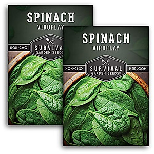 Survival Garden Seeds - Viroflay Spinach Seed for Planting - Packet with Instructions to Plant and Grow Nutritious Leafy Greens in Your Home Vegetable Garden - Non-GMO Heirloom Variety - 2 Pack