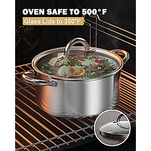 Cook N Home Stockpot with Lid, Basics Stainless Steel Soup Pot, 12-Quart