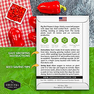 Survival Garden Seeds - Big Red Pepper Seed for Planting - Packet with Instructions to Plant and Grow Delicious Sweet Red Bell Peppers in Your Home Vegetable Garden - Non-GMO Heirloom Variety