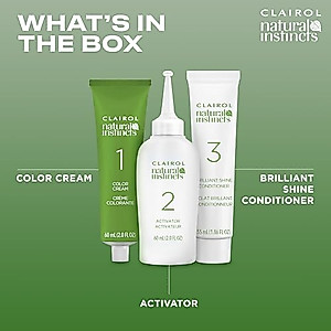 Clairol Natural Instincts Demi-Permanent Hair Dye, 6R Light Auburn Hair Color, Pack of 1