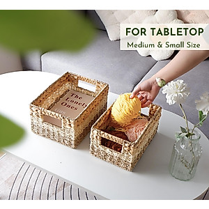 CHI AN HOME Wicker Storage Baskets, Set of 3 Water Hyacinth Storage Baskets For Organizing, Storage Bins Container for Shelves, Woven Pantry Baskets, 3-Pack, Natural, Built-in Carry Handles