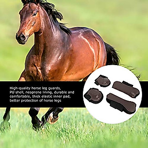 Horse Leg Protector PU Horse Front Hind Leg Boots Horse Riding Boots Pony Shock Absorbing Show Competition Leg Protection[Brown L] Hip & Joint Care