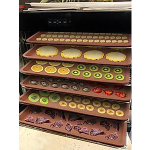 4PCS Silicone Dehydrator Mats with Edge - Silicone Sheets Compatible with Cosori CP267-FD, Nonstick Silicone Tray Liner, High Temperature Resistance Reusable for Fruits Meat Vegetables Herbs