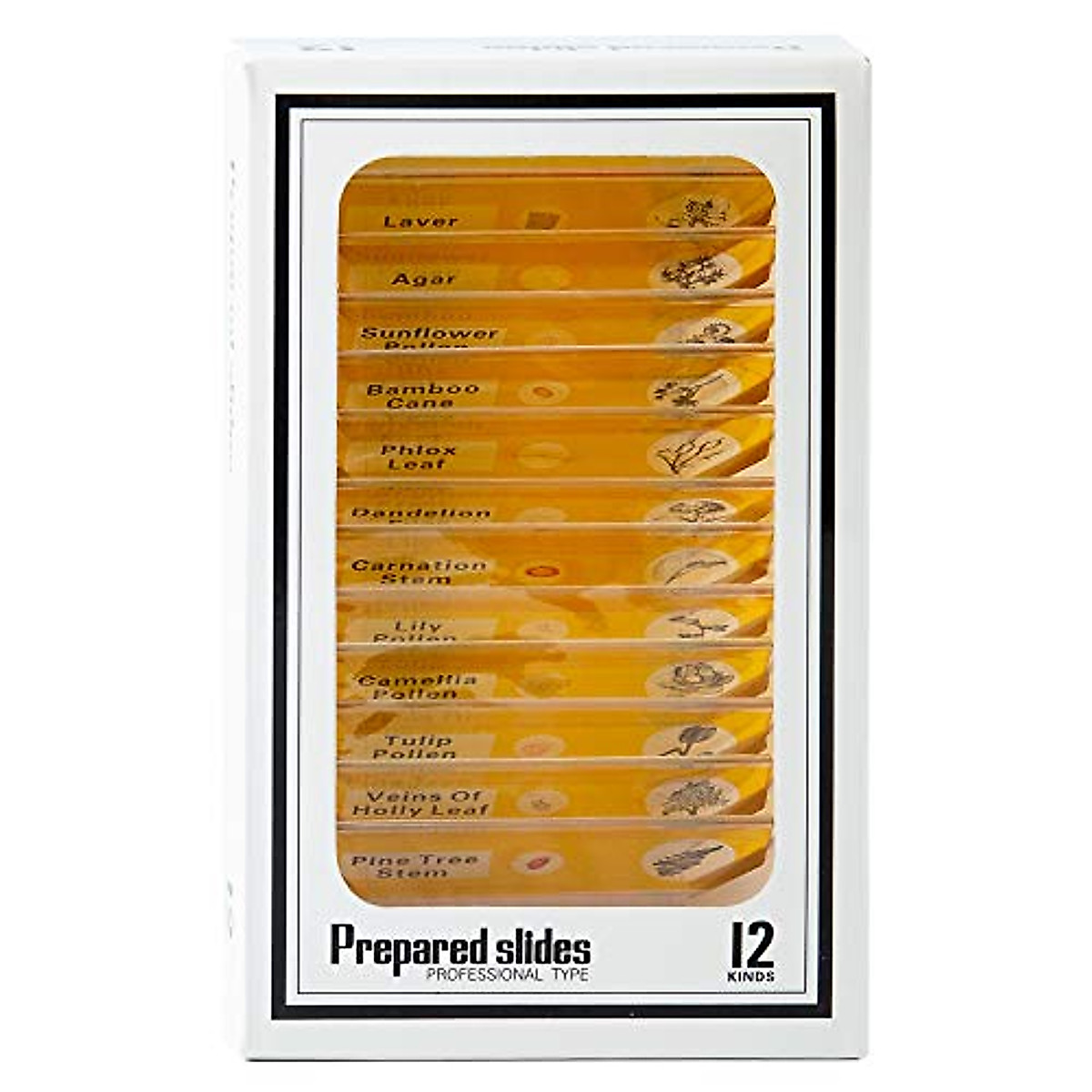 LINKMICRO 48pcs Prepared Plastic Microscopes Slides with 4 Types of Glass Biological Specimen for Kids Students