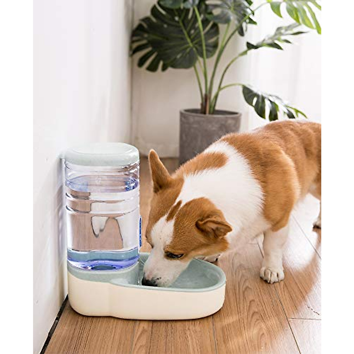 Ika Omnis Automatic Dog Cat Feeder and Water Dispenser Set with Food Scoop for Small/Medium Pet Puppy Kitten - Big Capacity 1 Gallon x 2
