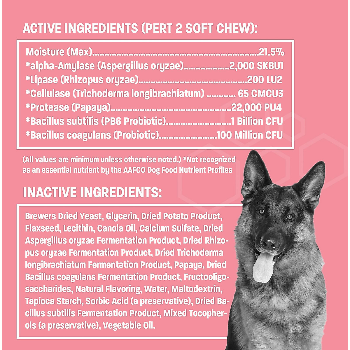 Pet Health Pros Advanced Probiotics for Dogs - Probiotic Soft Chew for Upset Stomach, Diarrhea & Constipation Relief - Promotes Happy Gut, Happy Dog - 60 ct