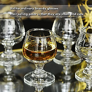 Valeways Shot Glasses, 1.75oz Mini Shot Glass Set of 6/Clear Shot Glasses/Super Cute Shot Glasses/Perfect for Tasting Brandy/Glass Snifters