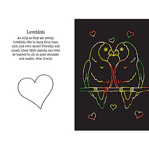 Scratch and Sketch Pet Shop