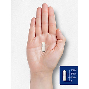 Carlyle NAC N-Acetyl Cysteine 600mg | 180 Capsules | with Peppermint | Free Form Supplement | Non-GMO, Gluten Free