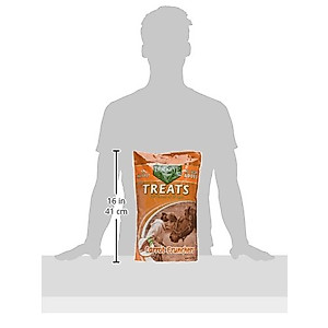 Buckeye All-Natural Sugar-Free Carrot Crunchers Horse Treats, 4 Pound Bag