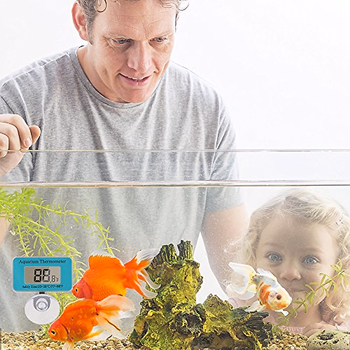 DaToo Aquarium Thermometer with Sucker, Second Generation (Update), 1 Yr Warranty
