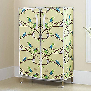 DINGZZ Shoe Rack, Double Door Oxford Cloth Washable Dustproof Shoe Rack Shoe, 60X30X97CM