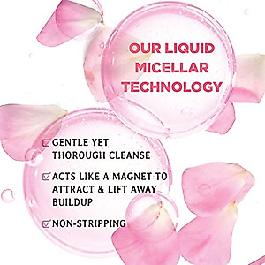 Carol's Daughter Wash Day Delight Water-to-Foam Sulfate Free Vegan Shampoo with Rose Water and Micellar Technology, Paraben Free, Silicone Free, Best for Kinky, Curly Hair, 16.9 fluid ounces