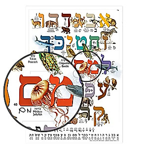 Hebrew Aleph Bet (Alef Bet) Animal Poster/Chart for Children with Print & Cursive Hebrew Alphabet (A3 11.7 x 16.5 in) Perfect for Hebrew Language Learner Beginners