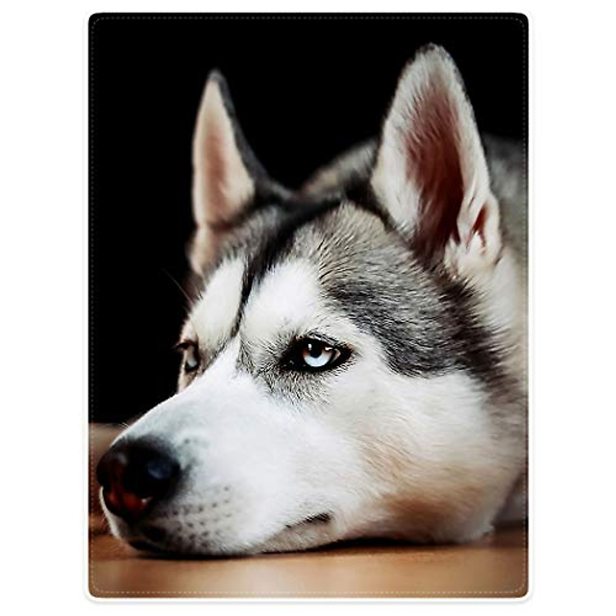 SXCHEN Blankets Plush Sofa Bed Throw Blanket Dashed Husky Dog 60"x80"