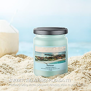 MelodySusie Candles for Home Scented, Candles for Home Spa Manicure,4 Pack Natural Soy Wax Blend Essential Oil Candle Gifts for Women and Men, Home Air Fresh and Relaxation(Coconut Fragrance)