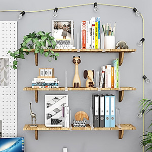 SOYO 6 PCS Shelf Dividers for Closet Organization, Durable Acrylic Clear Closet Shelf Divider for Wood Shelf, Adjustable Clear Shelf Separators for Closet, Bedroom, Kitchen and Office