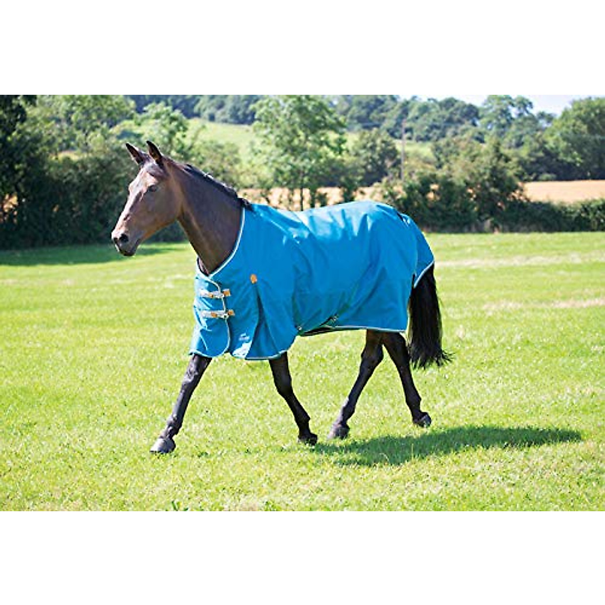 Shires Highlander Plus 0G Standard Neck Blanket Teal 69"