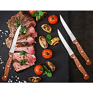 Steak Knives Set of 8 Utility Knives Steak Knife Cutlery Utensil Serrated Edge Steel…