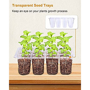 DOMMIA Seed Starter Tray, Reusable Seed Starter Kit with Adjustable Humidity Dome, Transparent Vegetable Propagator Trays, Space-Saving Mini Agriculture Plant Germination Equipment for Seeds Growing