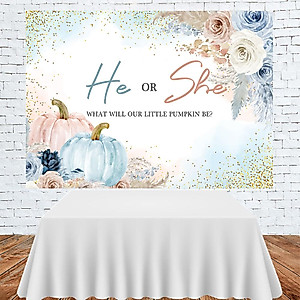 Lofaris Pumpkin Blue or Pink Gender Reveal Backdrop Fall Theme He or She What Will Little Pumpkin Be Banner Party Decorations Photography Background Pregnancy Reveal Party Photoshoot 7x5ft