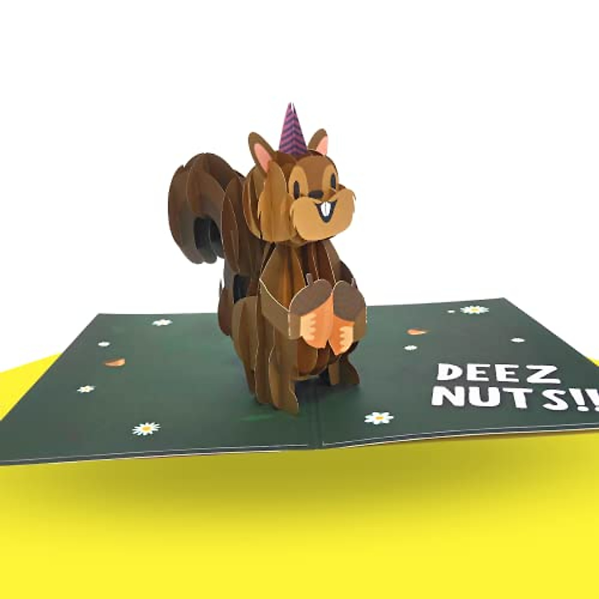 Sleazy Greetings Squirrel Pop Up Birthday Card | Funny Birthday Card for Men Women | Squirrel 3D Greeting Cards 5x7 Inch