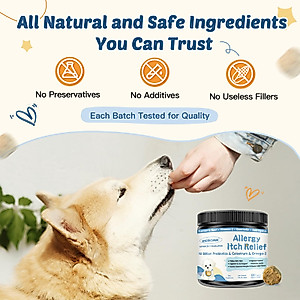 Dog Allergy Relief Chews, with Probiotics, Omega 3, Colostrum - Dog Itching Skin & Ears Relief, Herbal Dog Skin & Coat Supplement, Gut & Immune Support, Hot Spot Treatment, Anti Seasonal Allergies