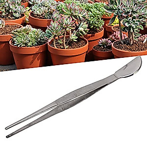 Bonsai Tweezers Bonsai Tweezers Tweezers for Bonsai Bonsai Tool Stainless Steel Bonsai Tweezers Tweezers with Moon Spatula Head for Potted Loosening (Straight)