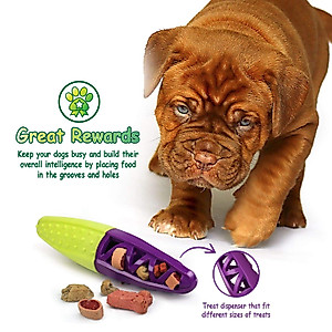Fluffy Paws – Stick-Shaped Dog Squeaky Toy for Small-Medium Puppy & Dogs | Dental Dog Treat Chew Toy Helps Massage Dogs Gums, Good for Aggressive Chewers | Green/Purple