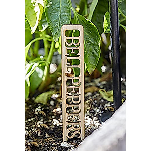Prospero Living Garden Stakes - Premium 7 Inch Wooden Herb and Vegetable Garden Plant Labels – for Indoor and Outdoor Planters, Pots and Boxes – 25 Commonly Grown Herbs, Veggies, and Fruits.